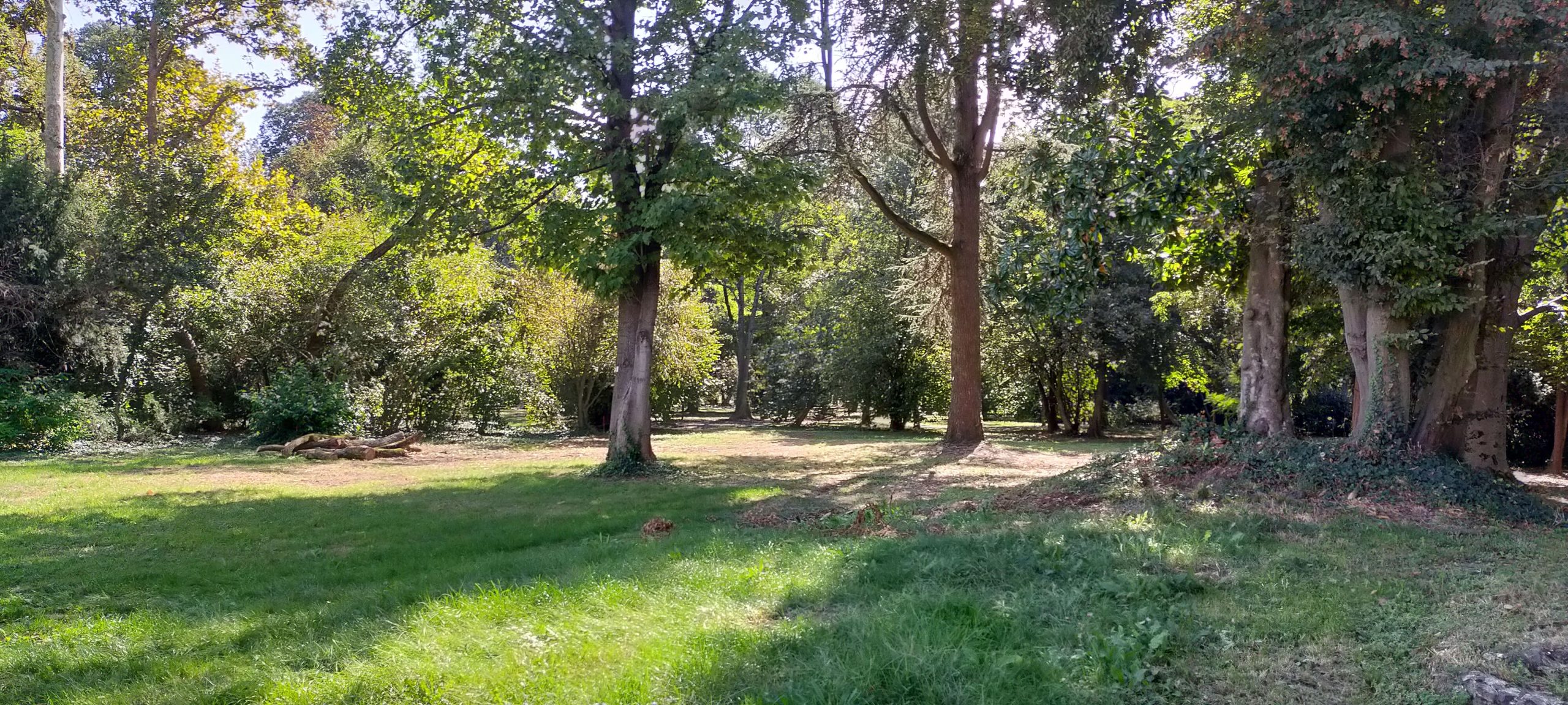 Il Mondo in un Giardino aperture straordinarie del Parco di Villa ...